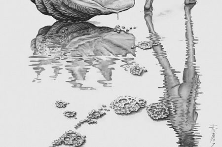 First Steps of Venus by Shaun Herron, Drawing | Artblr.