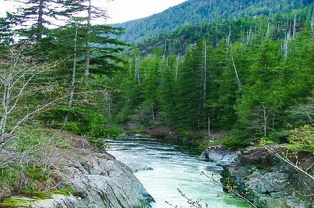 Kennedy River BC par Greg Sandoval, Photographie | Artblr.