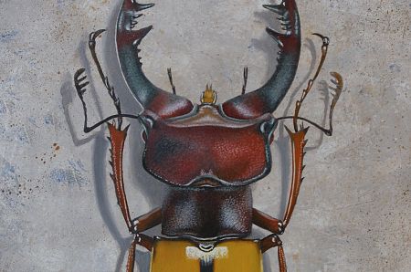 Lucanus Laetus by Dietrich Moravec, Painting | Artblr.