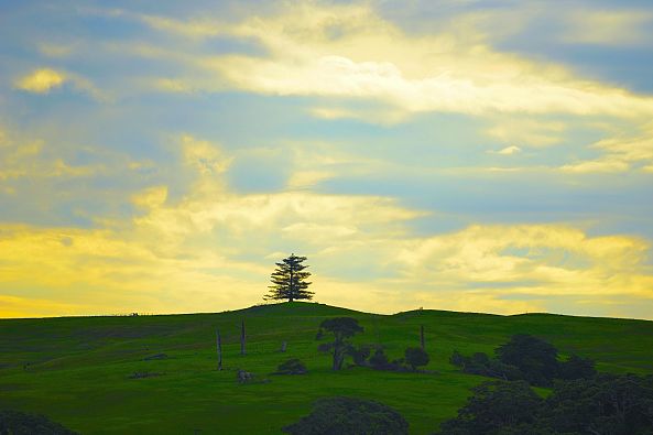 Greg Sandoval, Artist - United States | Artblr.