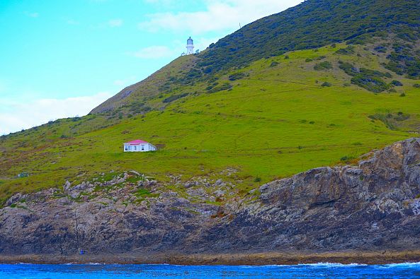 Greg Sandoval, Artist - United States | Artblr.