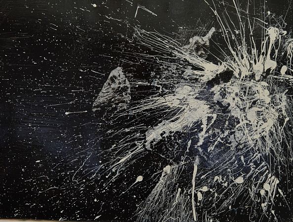 NADROJ NADROJ, Artist - France | Artblr.