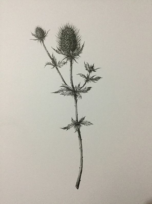 Thomas Presley, Artist - United States | Artblr.