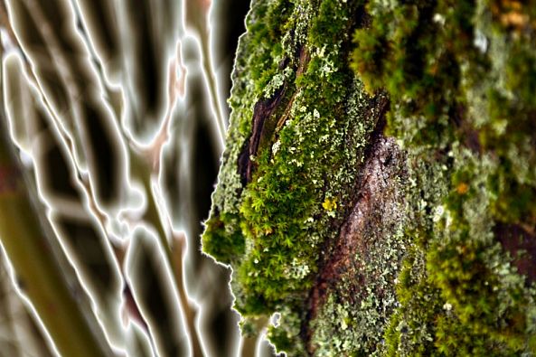 Alexandra Gertrud Maria Marx, Artist - Germany | Artblr.