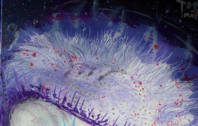 Danielle Provost, Artiste - Canada | Artblr.