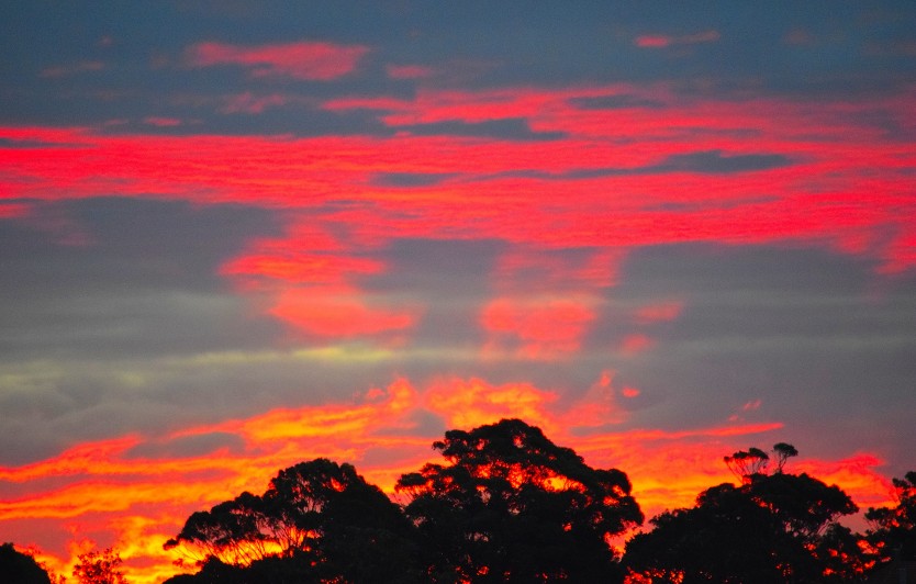 Most influential visual artists of all time | Artblr.