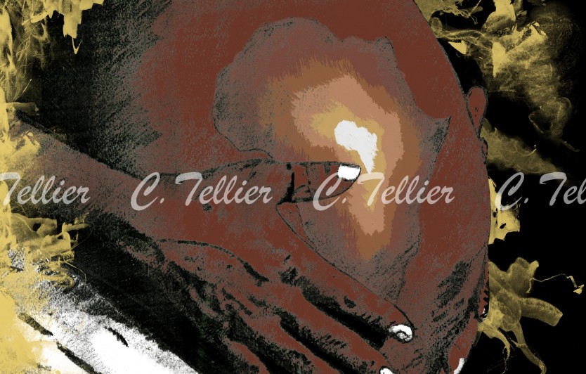 Tellier Christophe, Artist - France | Artblr.